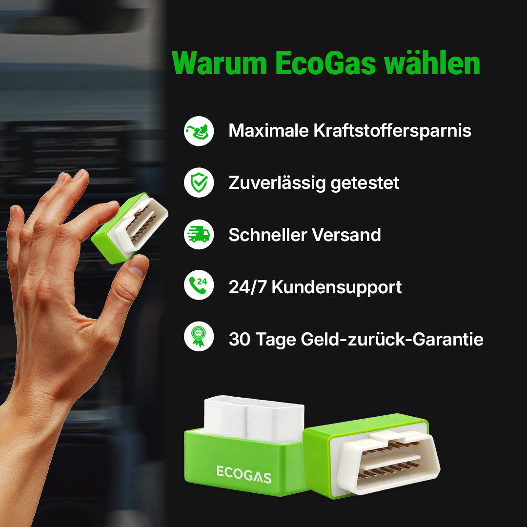 EcoGas - 1