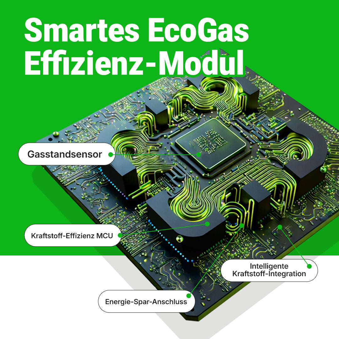 EcoGas - 1
