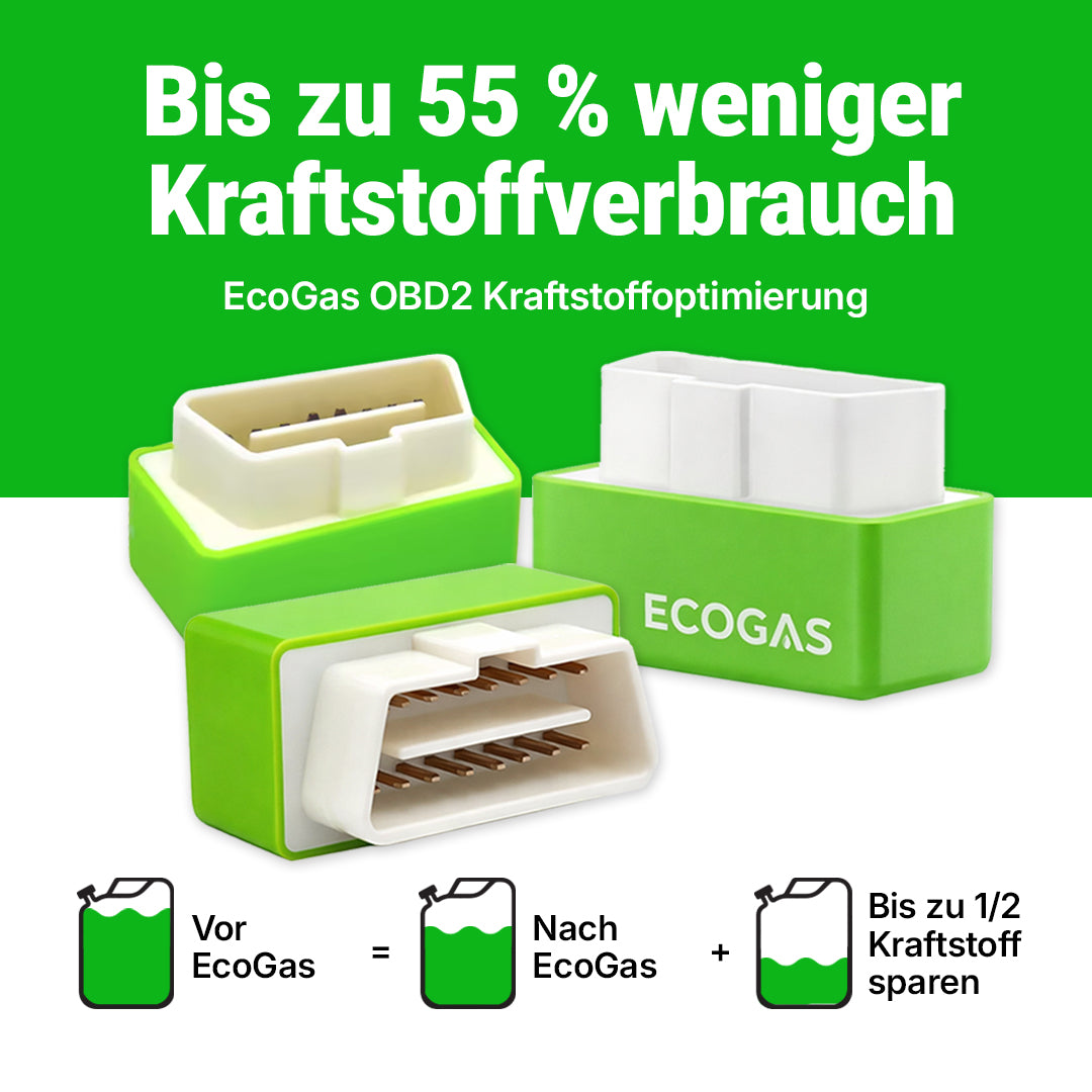 EcoGas