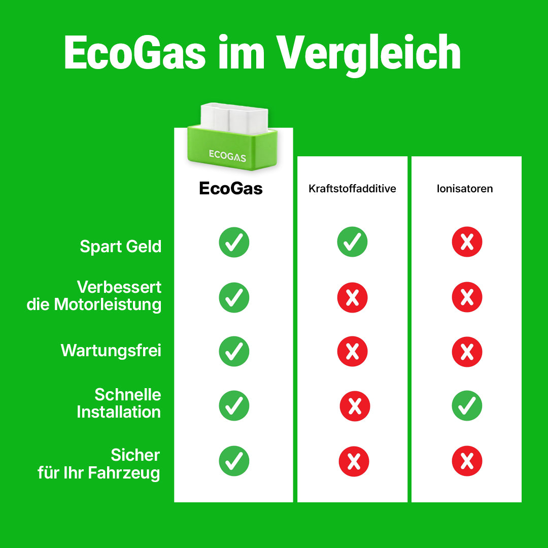EcoGas - 1