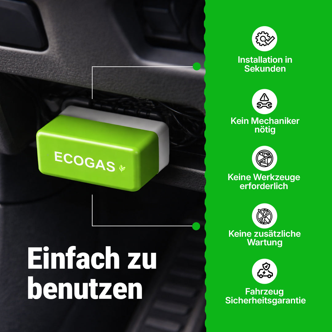 EcoGas - 1